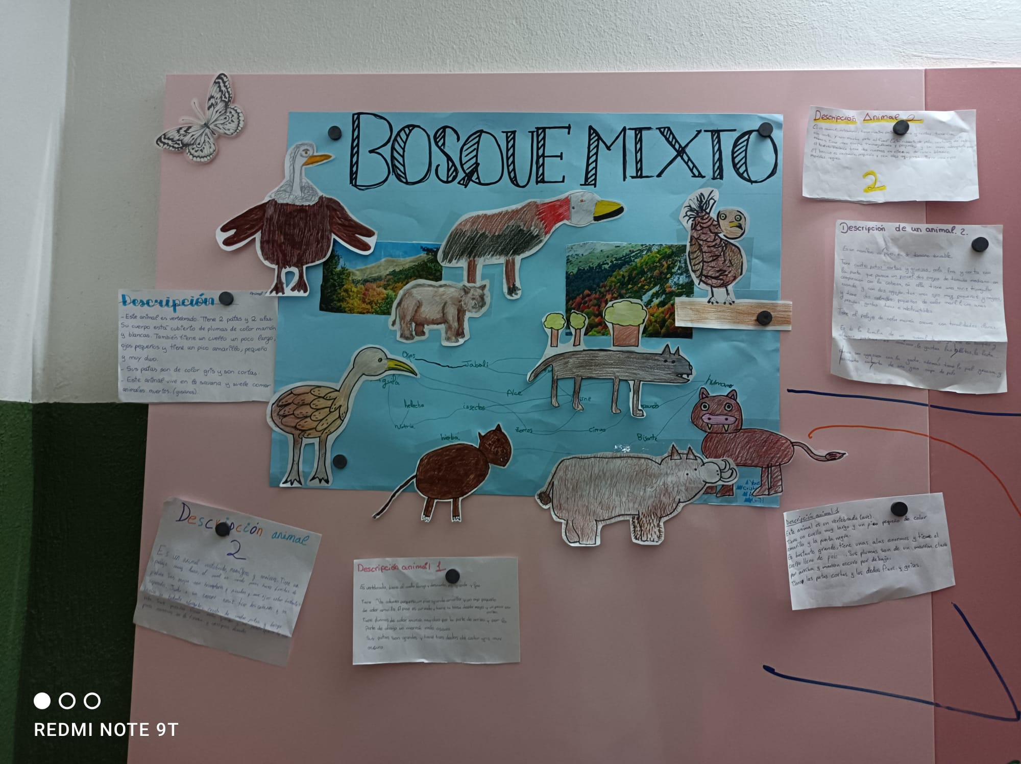 Ecosistemas tarjetas de vocabulario | Picstank